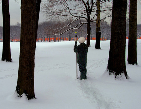Anthony Almeida|Humanistic|Environmental|fine art|documentary ...